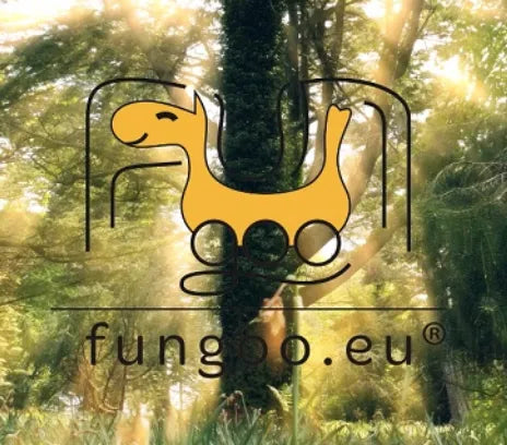Fungoo – construct4kids